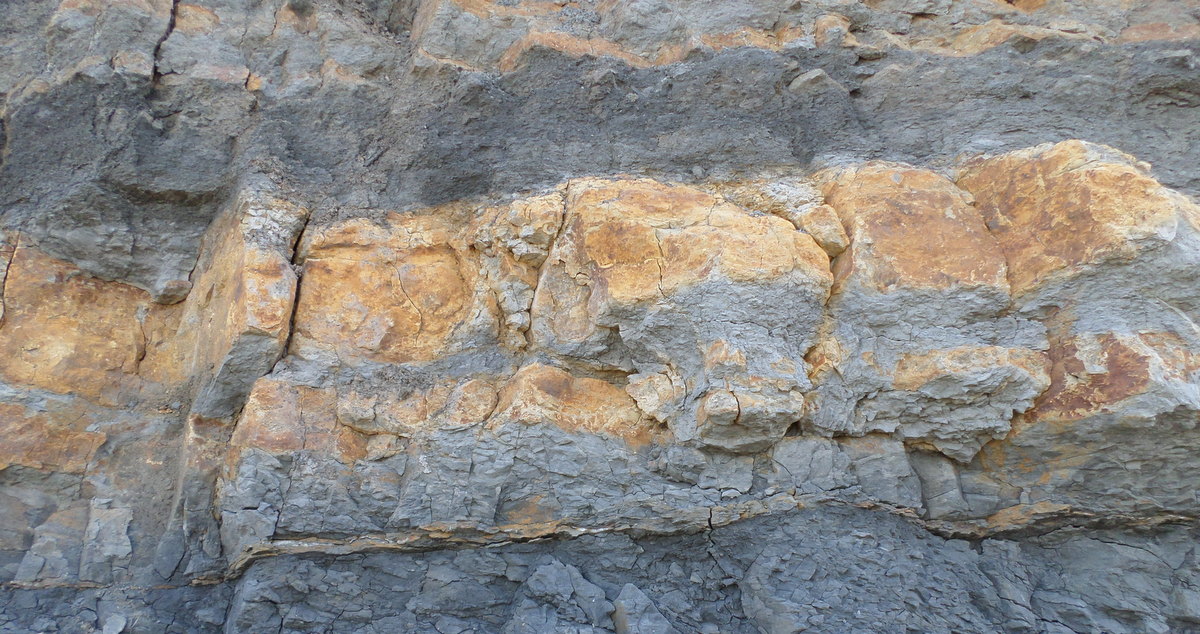 La datation des roches et des fossiles – L'univers de la géologie