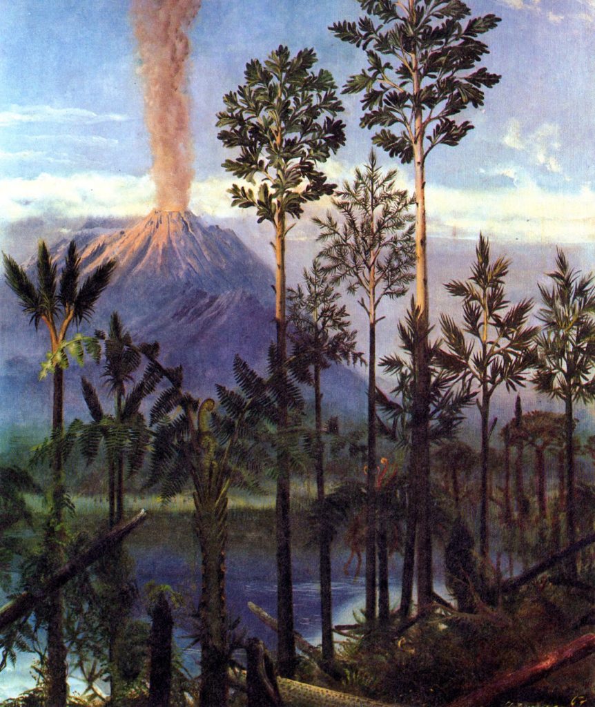 Le Carbonifère – L'univers de la géologie