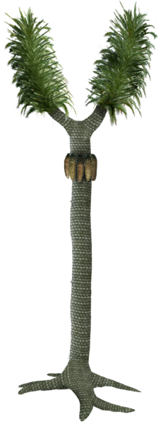 Le Carbonifère – L'univers de la géologie