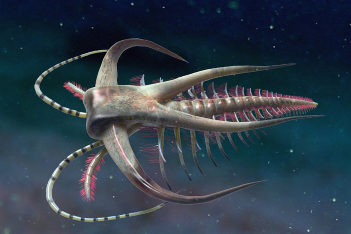 La nature de l’évolution et l’Homme – L'univers de la géologie