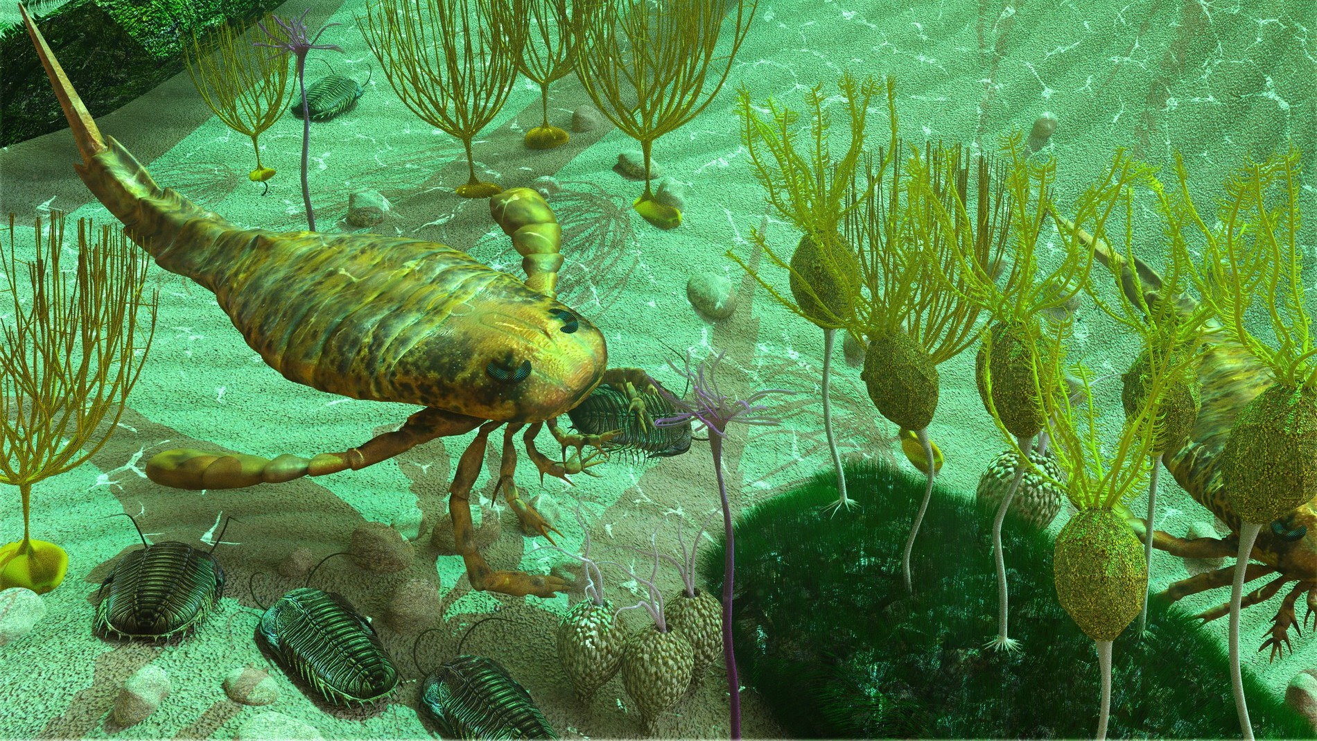 Le Silurien – L'univers de la géologie