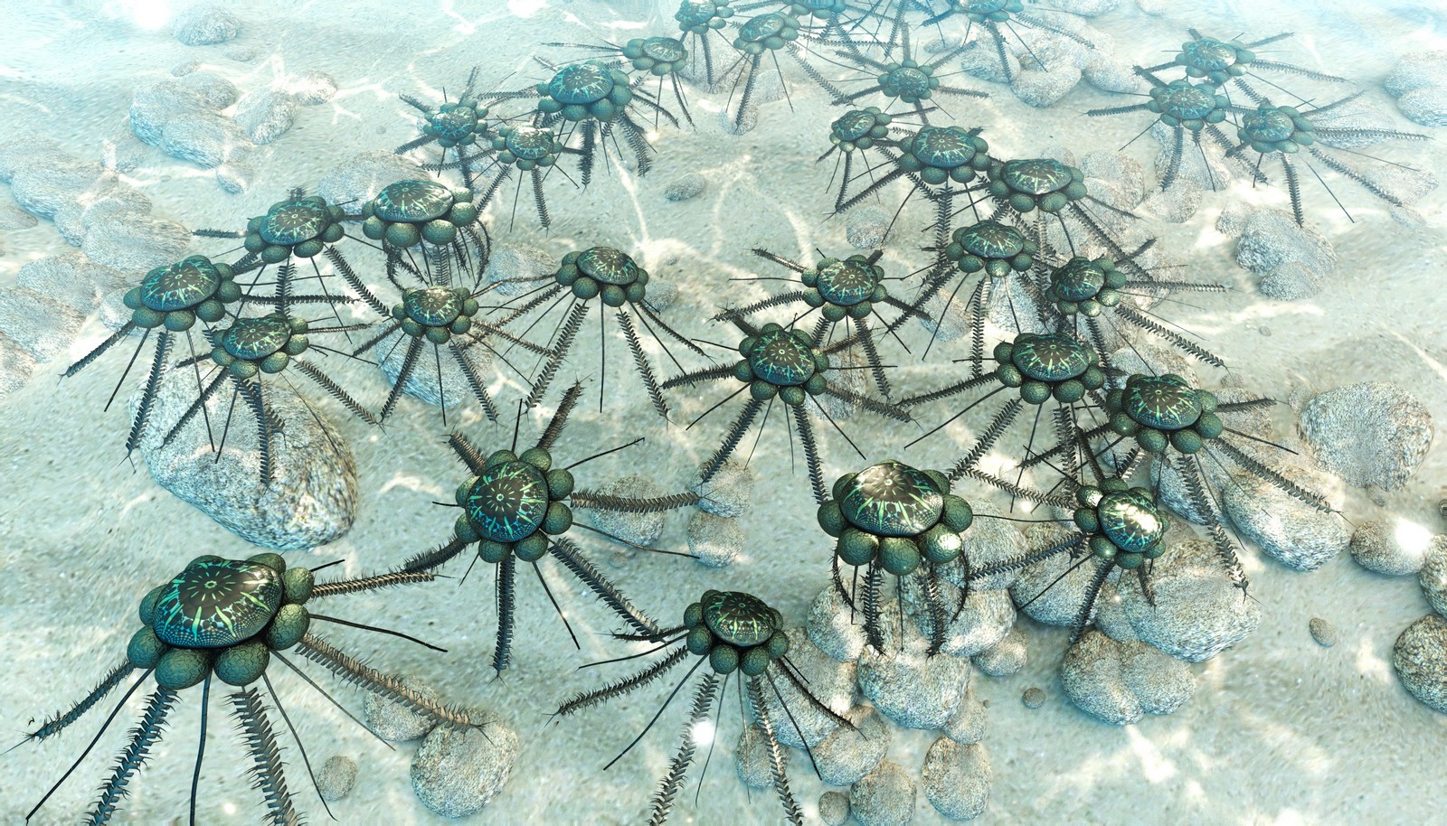 L’Ordovicien – L'univers de la géologie