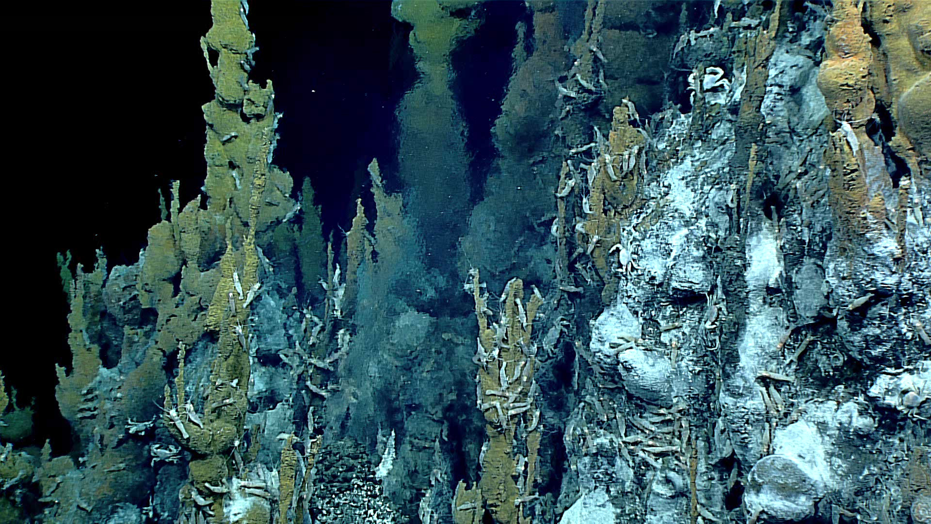 Les Monts Sous Marins Des Mariannes Lunivers De La Géologie