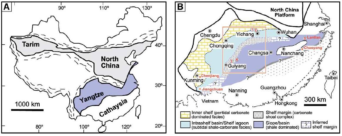 Les énigmatiques fossiles précambriens de Doushantuo – L'univers de la ...