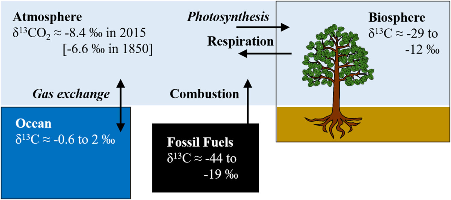 Les émissions anthropiques de dioxyde de carbone dans l’atmosphère – L ...
