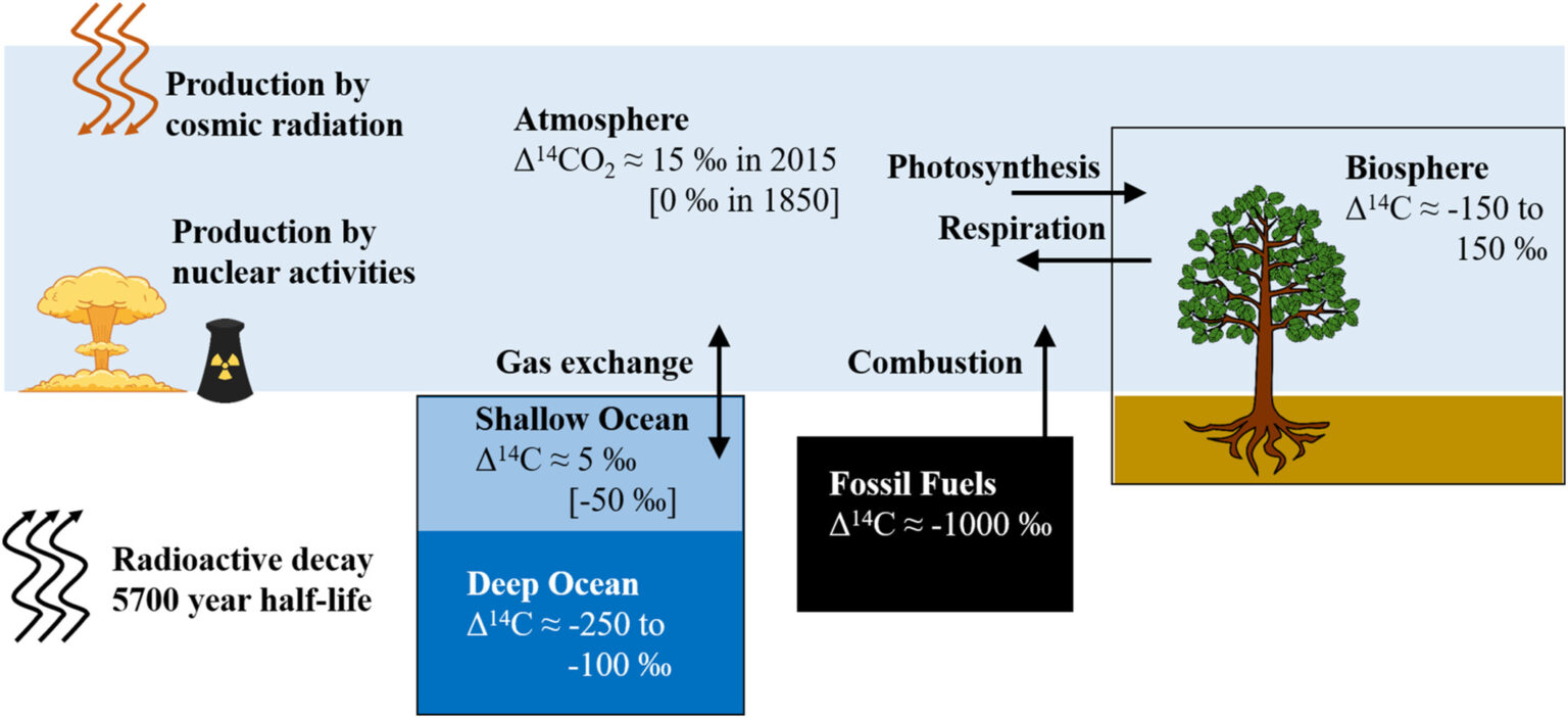 Les émissions anthropiques de dioxyde de carbone dans l’atmosphère – L ...